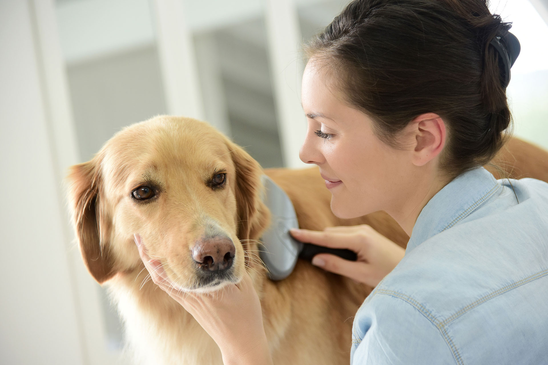 Pet Care Photos